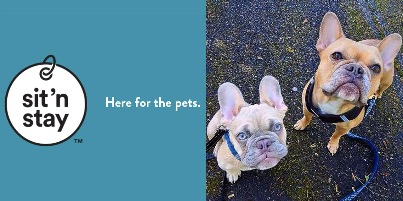 Sit ’N Stay Pets: April showers bring puddle dangers? - The Normandy ...