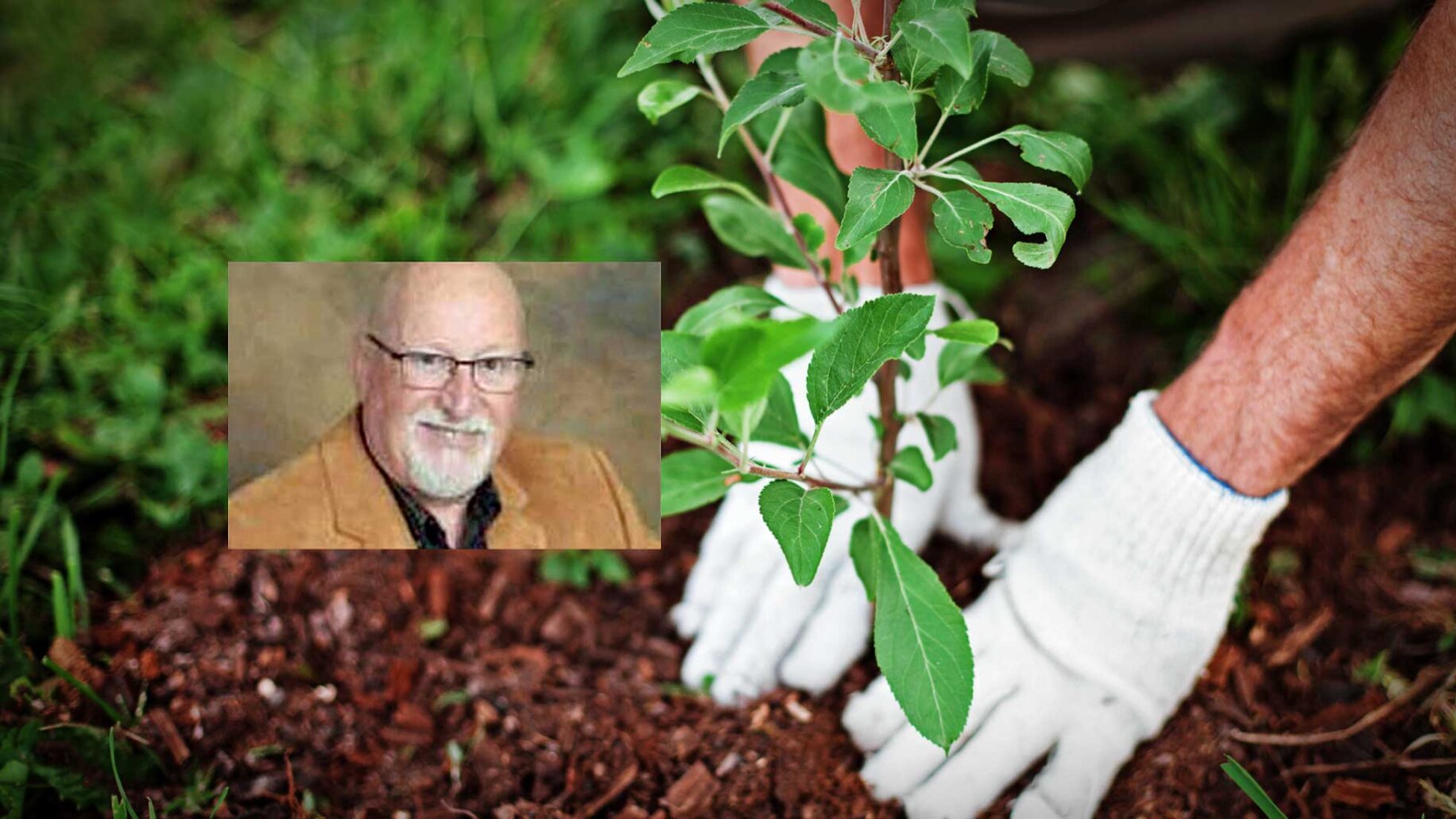 Please welcome our new column ‘The Garden Guy’ - The Normandy Park Blog